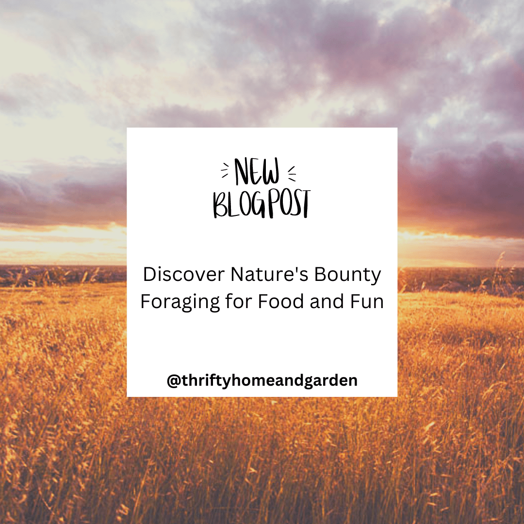 Sarah Coles – Life is a Game, Play It; Life is a Challenge, Meet It ...